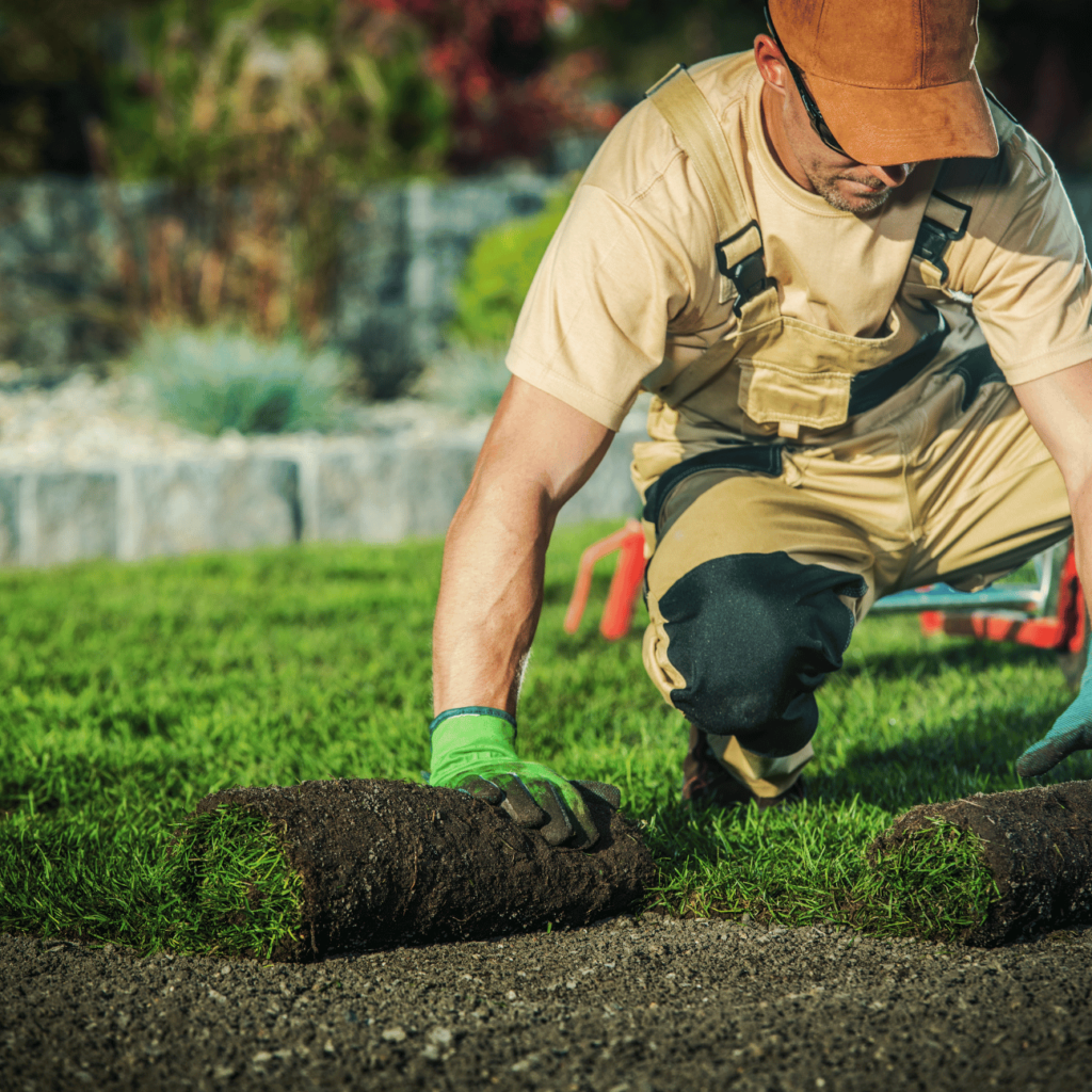 Home - SM Landscaping